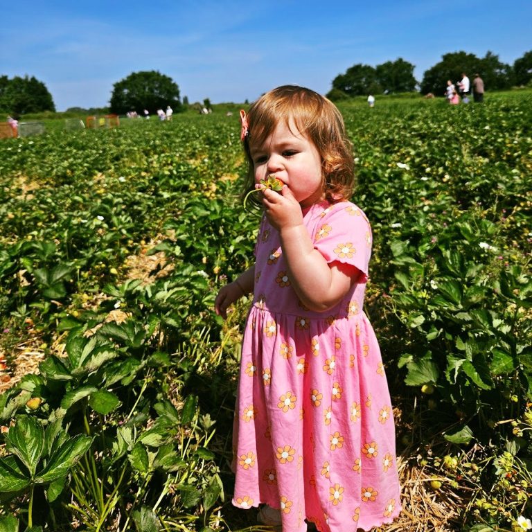 The Secret Farm | Seasonal Pick-Your-Own in Bedfordshire