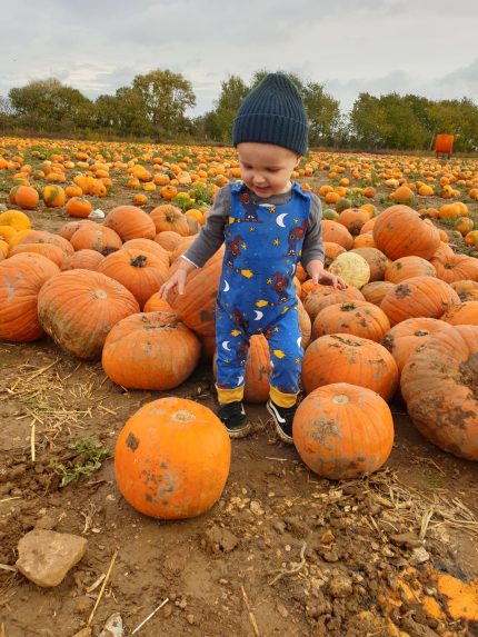The Secret Farm | Seasonal Pick-Your-Own in Bedfordshire